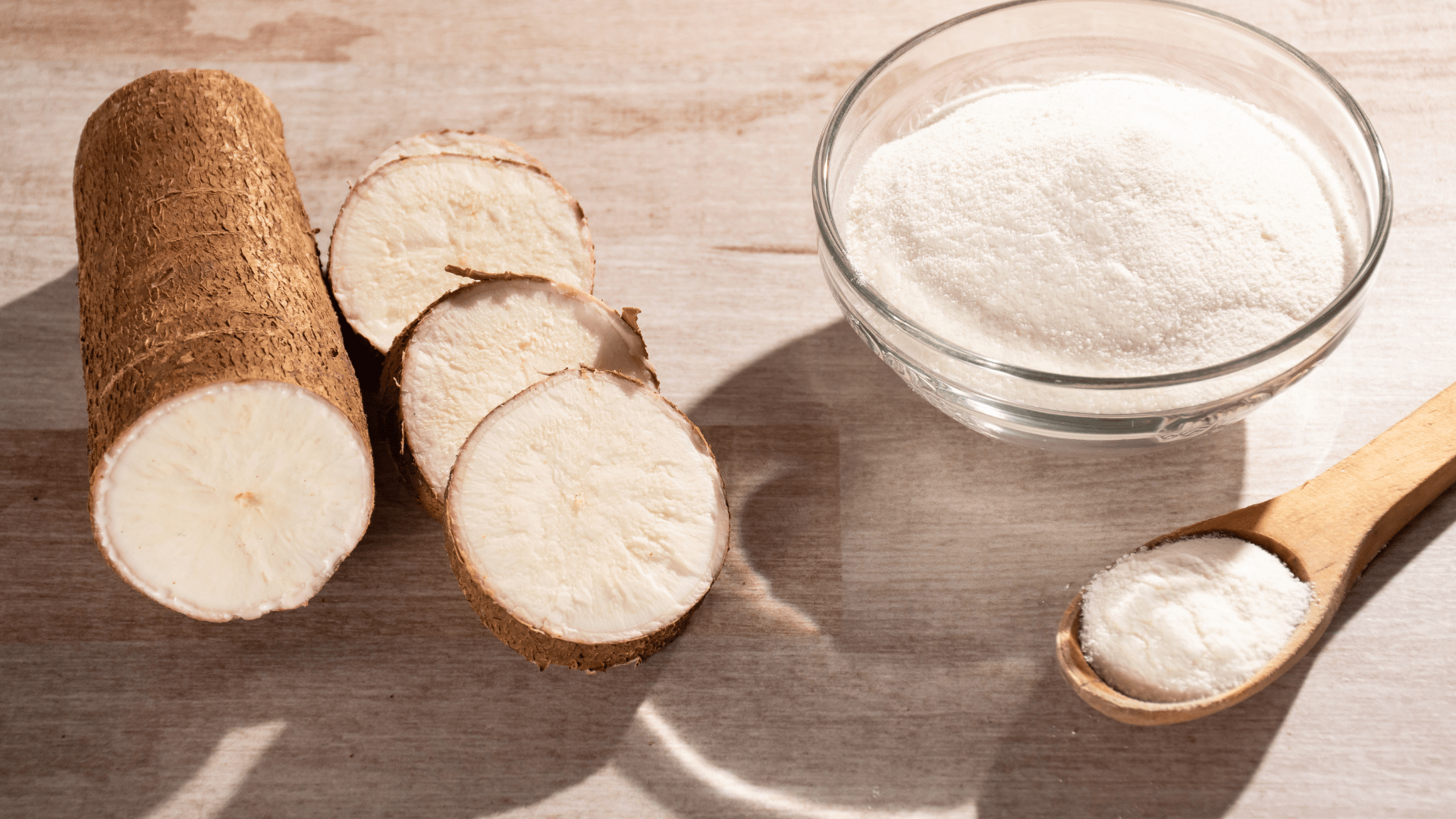 Cassava Starch Production Process - EMS BRAND ™ By EXPORTVN®