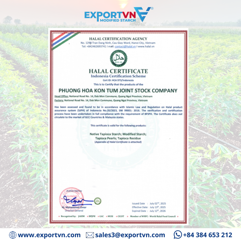 INS 1442 Halal Certified - MODIFIED FOOD STARCH | EMS BRAND™ By EXPORTVN®