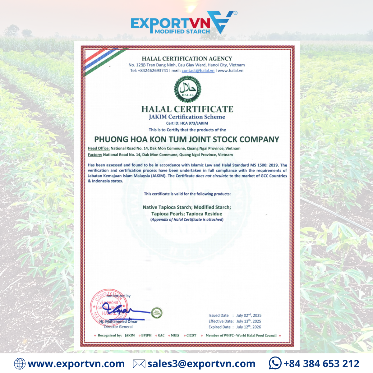 INS 1442 Halal Certified - MODIFIED FOOD STARCH | EMS BRAND™ By EXPORTVN®